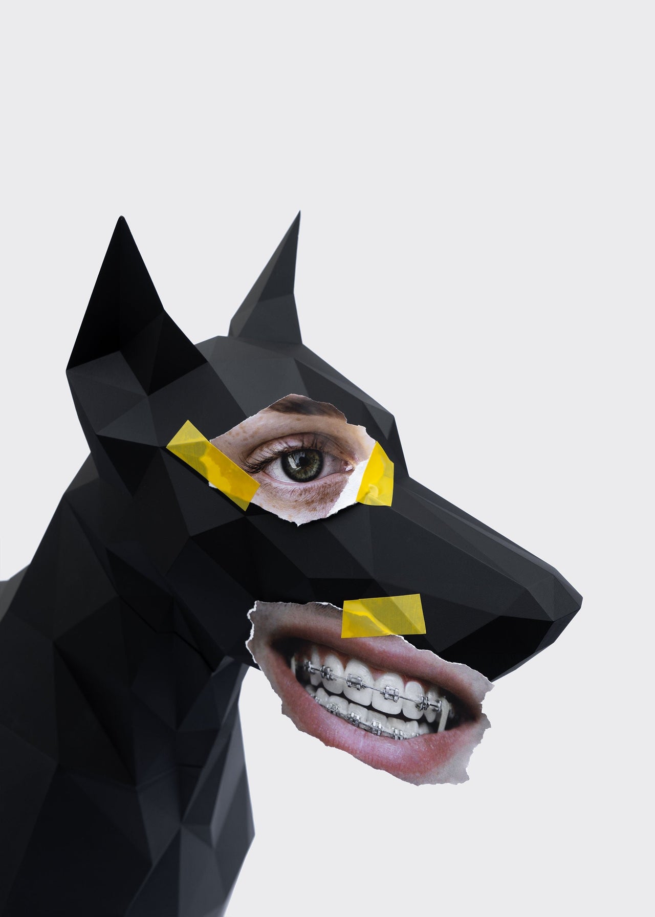 bump up - Fun | High-end | Pet Brand